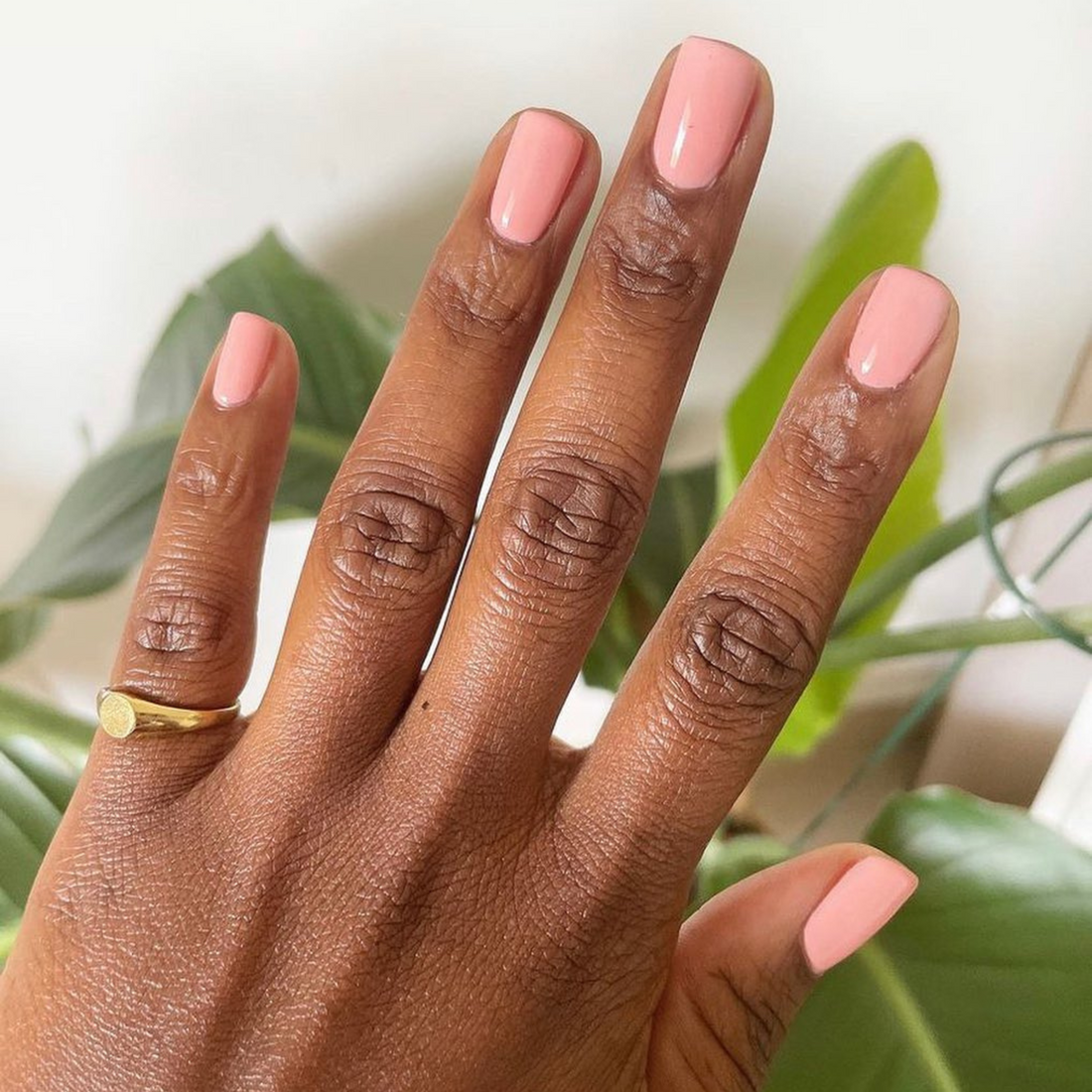 Buy Daisy DND Duo Gel - DC143 Banana Crepe| Diamond Nail Supplies